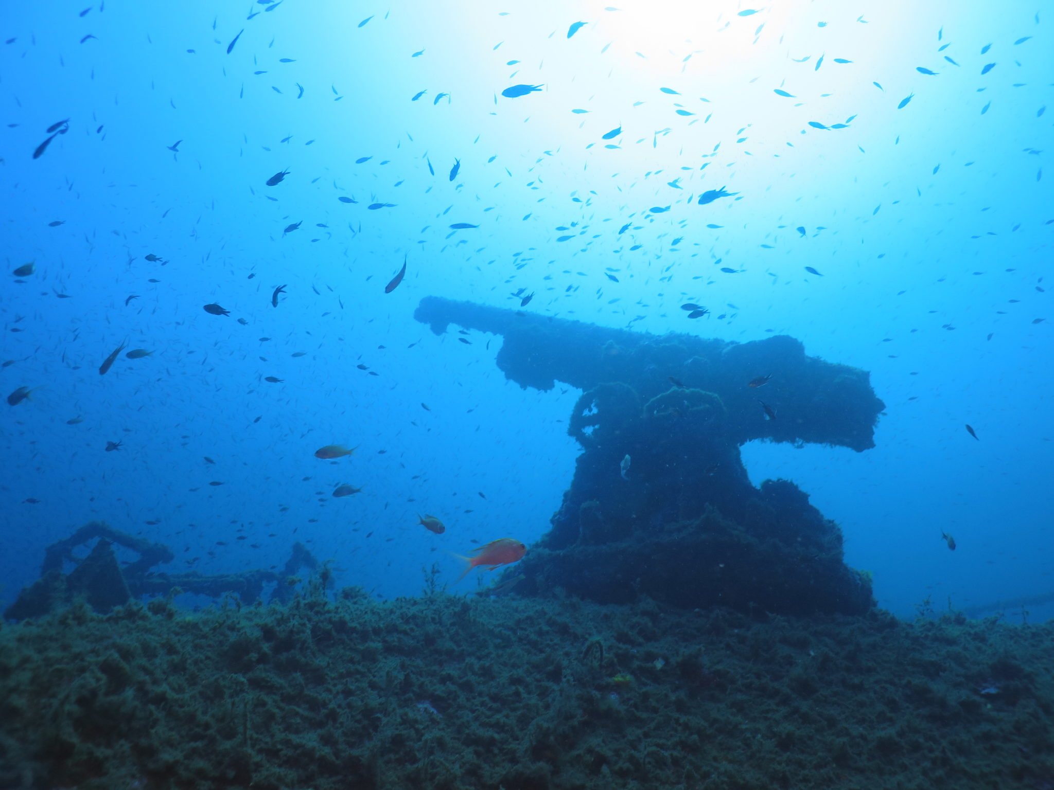 Technical diving - BC Sidemount